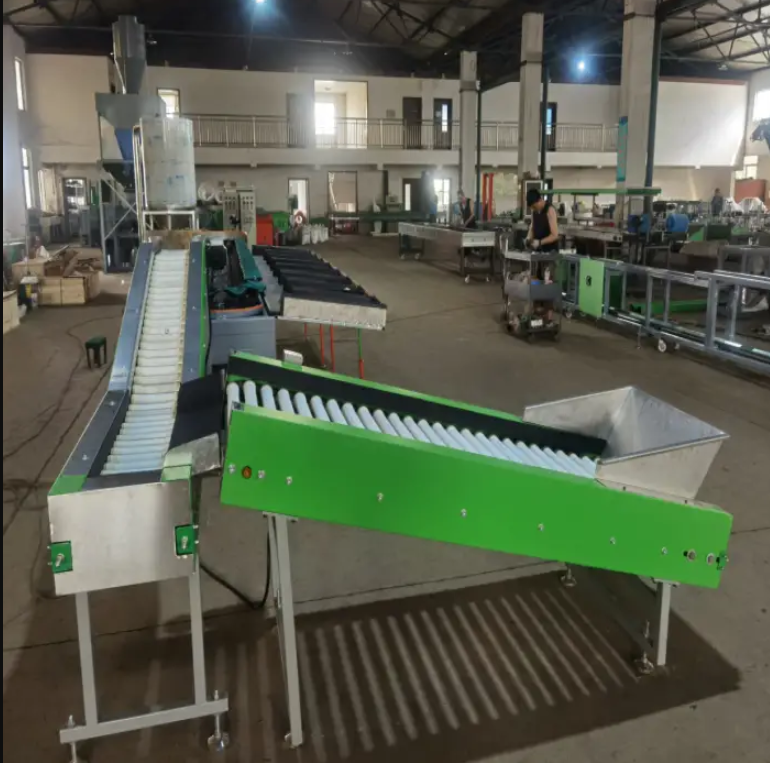 Potato Washing, Drying, and Sorting / Apple Grading Machine - Afrimart ...